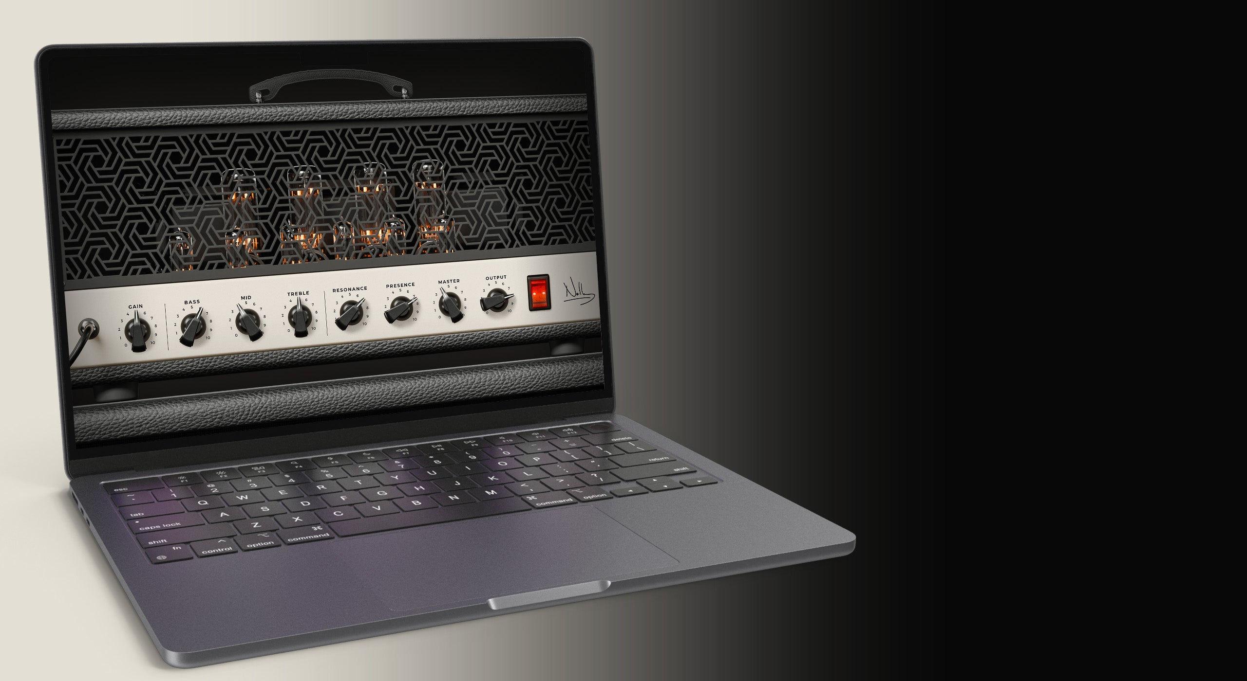 Neural DSP - Custom Preset Packs
